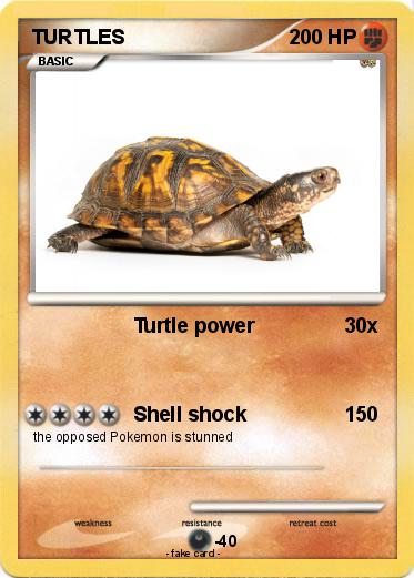 Pokémon TURTLES 24 24 - Turtle power - My Pokemon Card