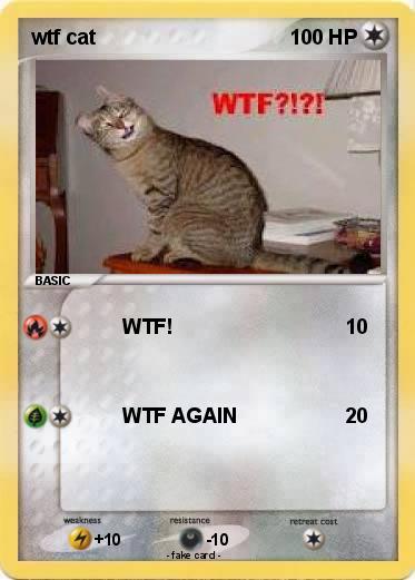 Wtf Cat Meme
