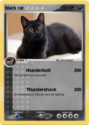 Pokemon Card Black Cat