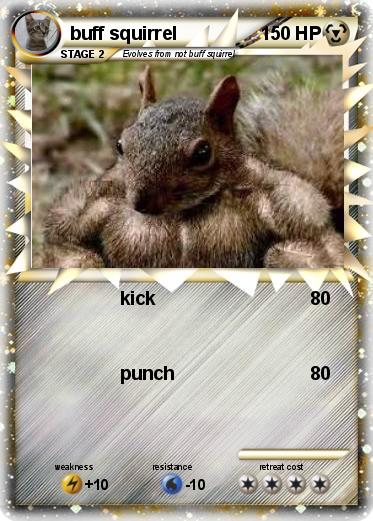 Buff Squirrel