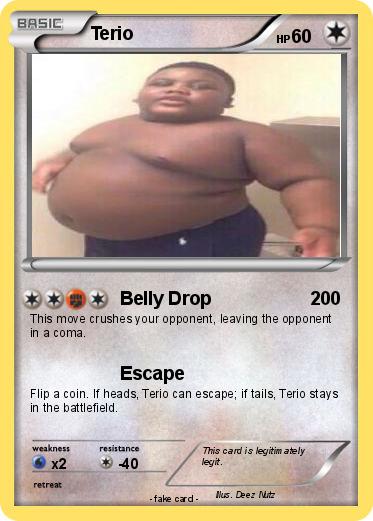 Terio