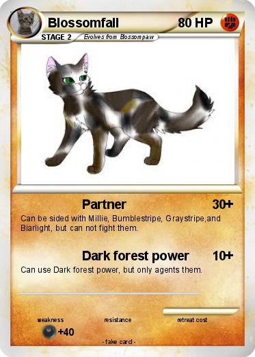 Warrior Cats Blossomfall