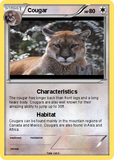 Pokémon Cougar 21 21 - Characteristics - My Pokemon Card