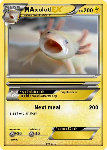 Cartao Pokemon Axolote Pintura De Parede Em Tela Axolotl De Desenho