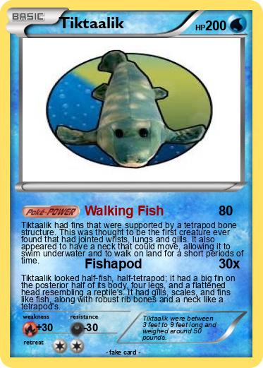 Tiktaalik