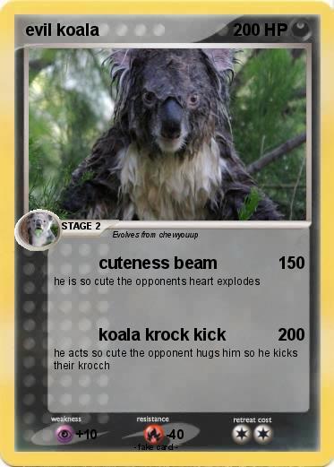Evil Koala