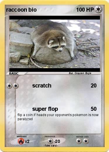 Raccoon Pokemon Stream Sprigatito The Grass Cat Pokemon Music | Listen