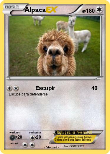 Alpaca Pokemon