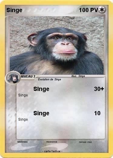 Pokémon Singe 325 325 - SInge - Ma carte Pokémon