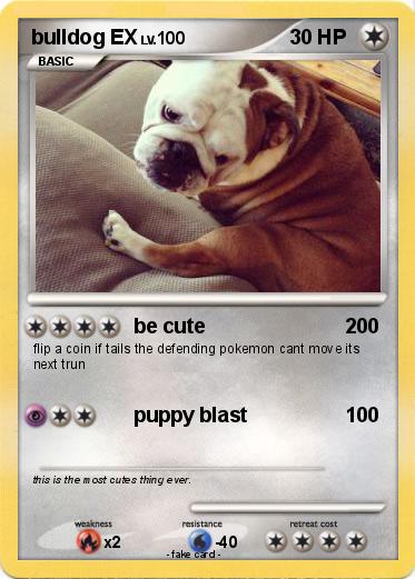 Pokémon bulldog EX 3 3 - be cute - My Pokemon Card