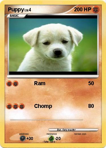 Pokémon Puppy 175 175 - Ram - My Pokemon Card