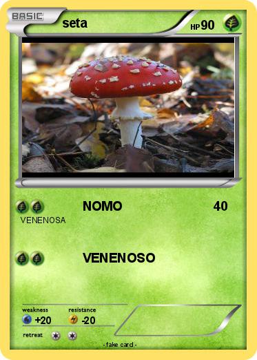 Pokémon seta - NOMO - My Pokemon Card