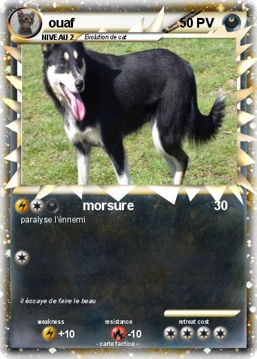 Pokémon ouaf - morsure - Ma carte Pokémon