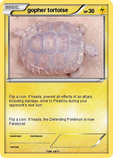 Pokémon gopher tortoise - My Pokemon Card