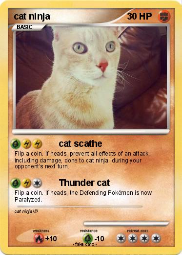 Pokémon cat ninja 6 6 - cat scathe - My Pokemon Card