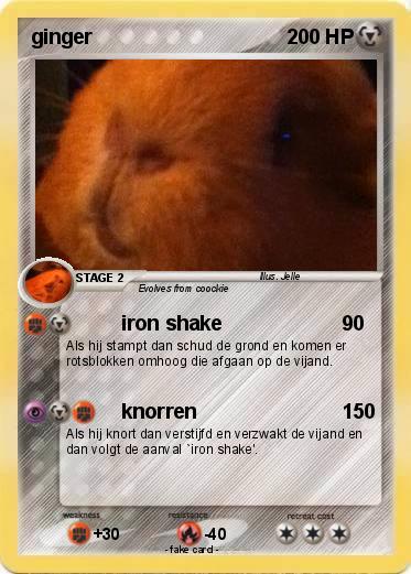 Pokémon ginger 215 215 - iron shake - My Pokemon Card