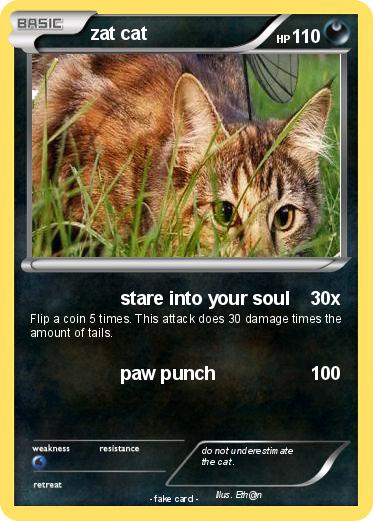 Pokémon zat cat - stare into your soul - My Pokemon Card