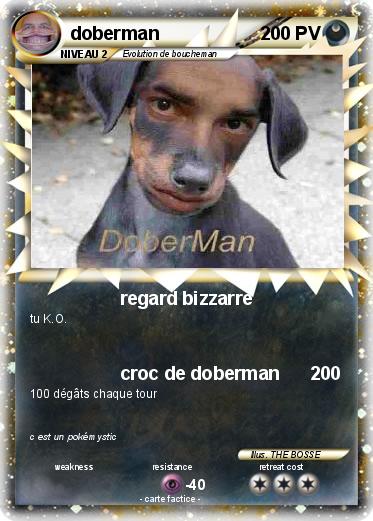 Pokémon doberman 40 40 - regard bizzarre - Ma carte Pokémon