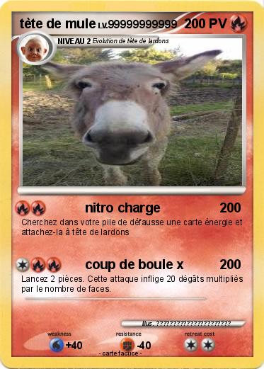 Pokémon tete de mule - nitro charge - Ma carte Pokémon