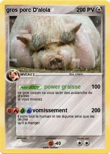 Pokémon gros porc D alola - power graisse - Ma carte Pokémon