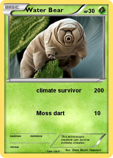 Pokémon Water Bear 19 19 - climate survivor - My Pokemon Card