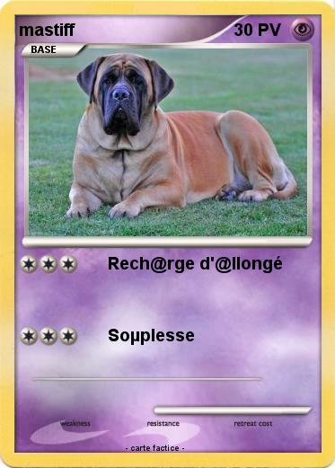 Pokémon mastiff 500 500 - Rech@rge d'@llongé - Ma carte Pokémon