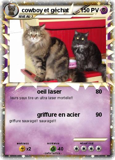 Pokémon cowboy et gechat - oeil laser - Ma carte Pokémon