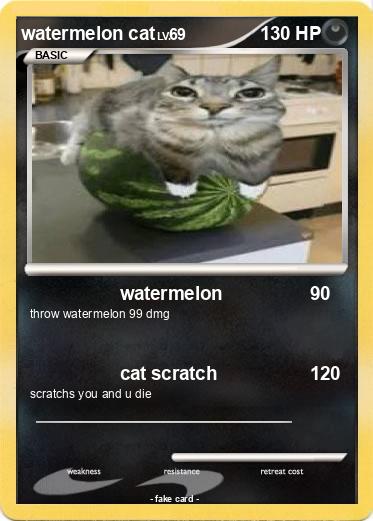 Pokémon watermelon cat 12 12 - watermelon - My Pokemon Card