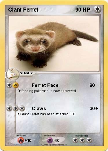 Pokémon Giant Ferret - Ferret Face - My Pokemon Card