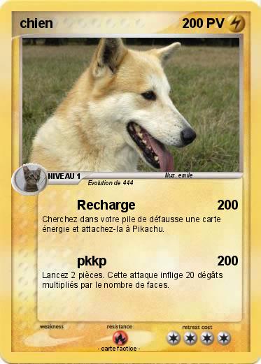 Pokémon chien 1615 1615 - Recharge - Ma carte Pokémon