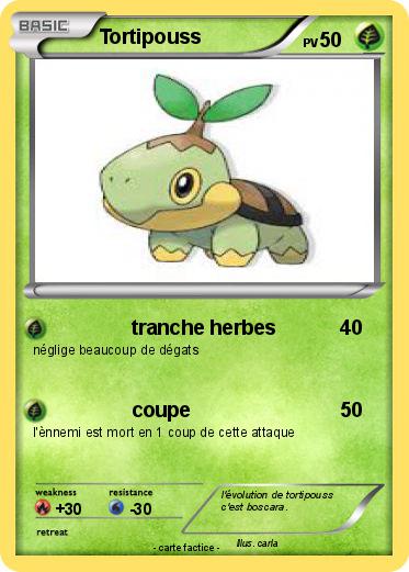Pokémon Tortipouss 141 141 - tranche herbes - Ma carte Pokémon
