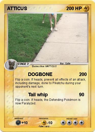 Pokémon ATTICUS 24 24 - DOGBONE - My Pokemon Card