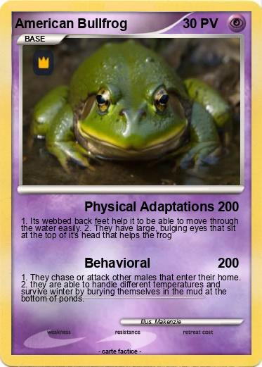 Pokémon American Bullfrog 4 4 - Physical Adaptations - Ma carte Pokémon