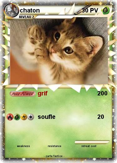 Pokémon chaton 1143 1143 - grif - Ma carte Pokémon