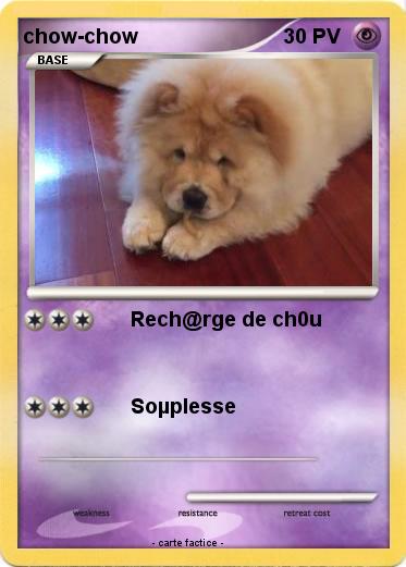 Pokémon chow chow 181 181 - Rech@rge de ch0u - Ma carte Pokémon