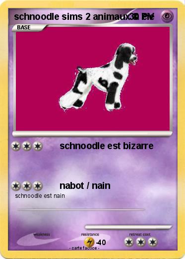 Pokémon schnoodle sims 2 animaux cie - schnoodle est bizarre - Ma carte ...