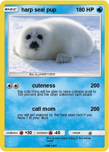 Pokémon harp seal pup 2 2 - cuteness - My Pokemon Card
