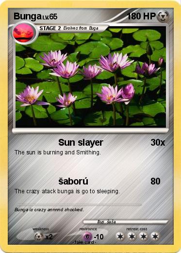 Pokémon Bunga 1 1 - Sun slayer - My Pokemon Card