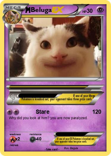 Pokémon Beluga 294 294 - Stare - My Pokemon Card