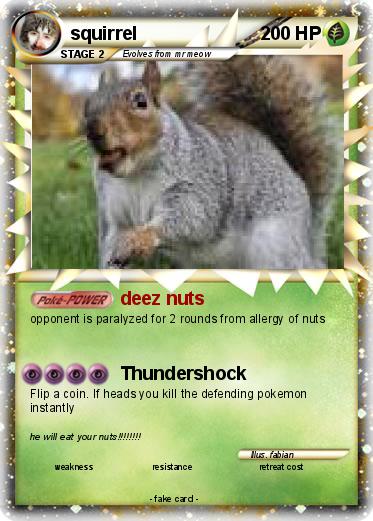 Pokémon squirrel 256 256 - deez nuts - My Pokemon Card