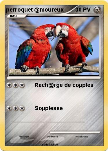 Pokémon perroquet moureux - Rech@rge de coµples - Ma carte Pokémon