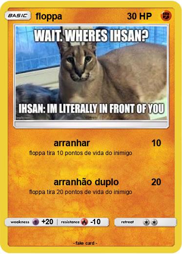 Pokémon floppa 375 375 - arranhar - My Pokemon Card
