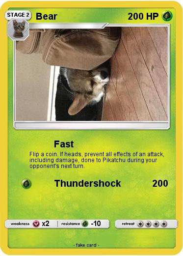 Pokémon Bear 557 557 - Fast - My Pokemon Card