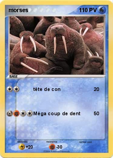 Pokémon morses - tête de con - Ma carte Pokémon
