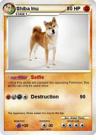 Pokémon Shiba Inu 108 108 - Selfie - My Pokemon Card