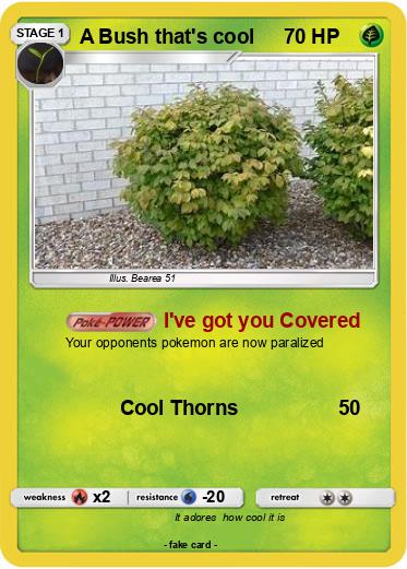 Pokémon A Bush that s cool - I've got you Covered - My Pokemon Card