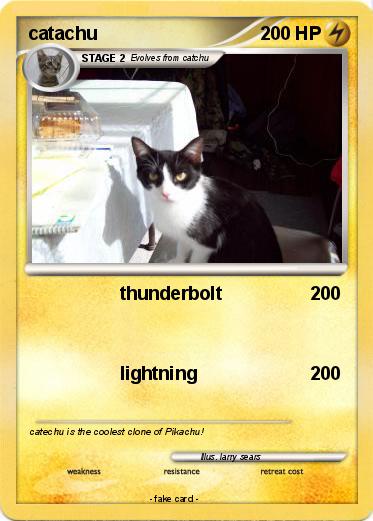 Pokémon catachu 20 20 - thunderbolt - My Pokemon Card