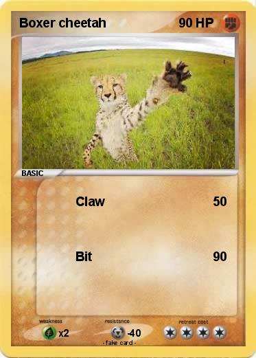 Pokémon Boxer cheetah - Claw - My Pokemon Card