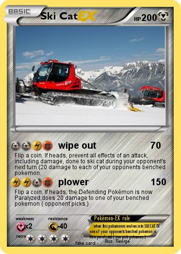 Pokémon Ski Cat 1 1 - wipe out - My Pokemon Card