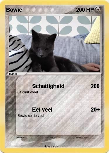 Pokémon Bowie 11 11 - Schattigheid - My Pokemon Card